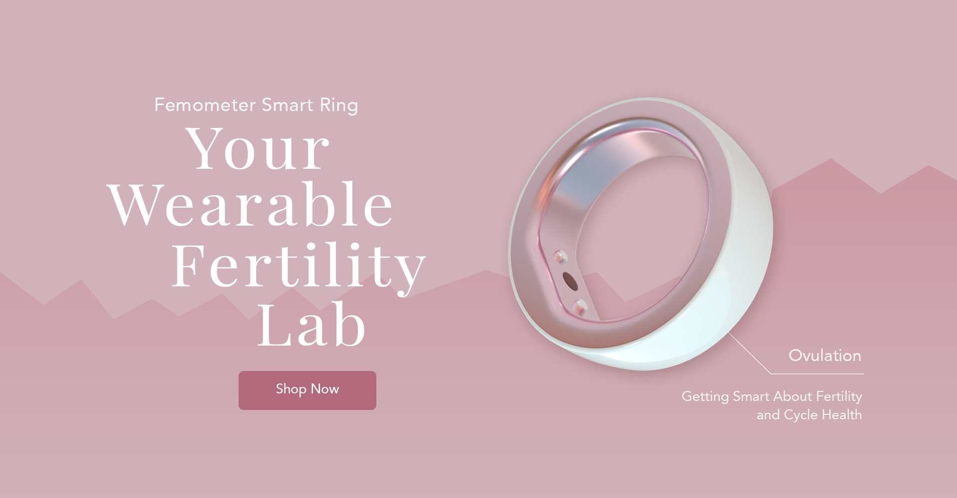 For Women's Fertility & Wellness | Femometer
